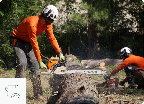 Tree Cutting Services - Hammond, LA | Tangi Tree