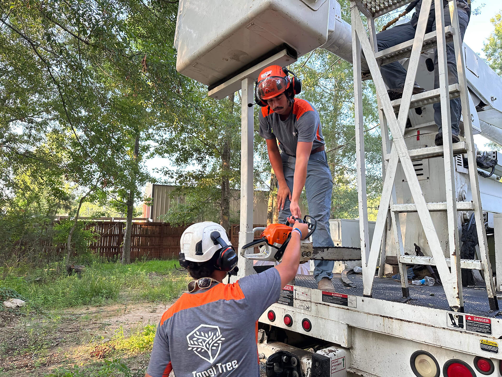 Emergency Tree Services - Hammond, LA | Tangi Tree